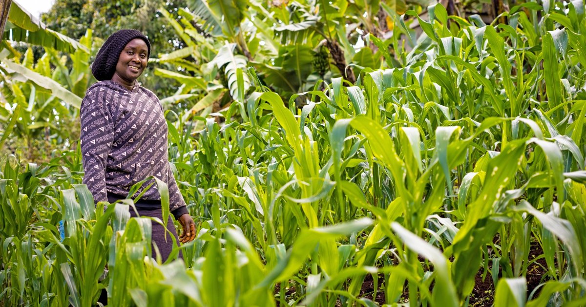 Contact | Abler Nordic