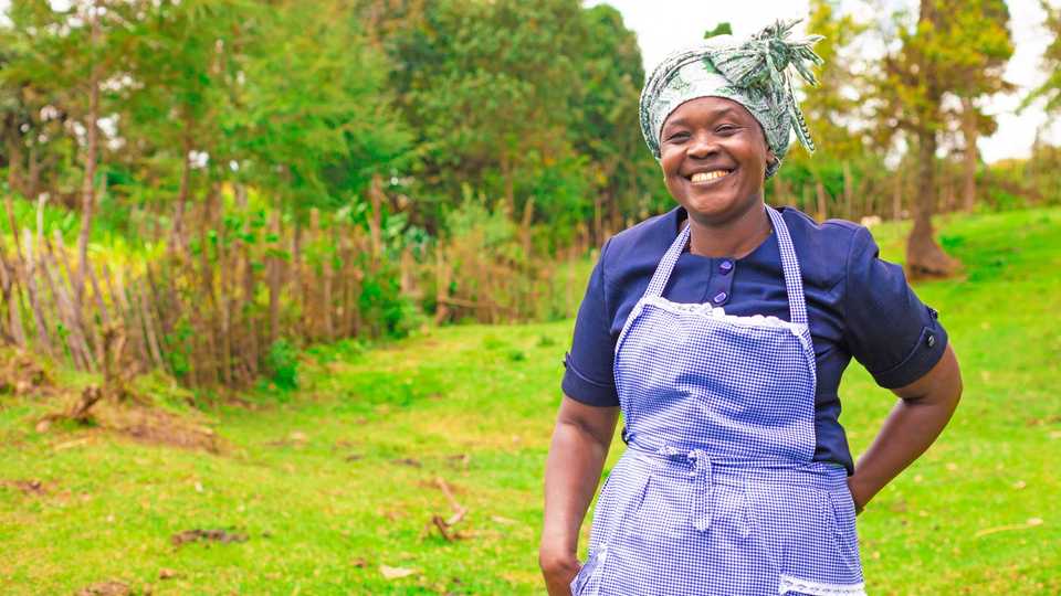 Contact | Abler Nordic